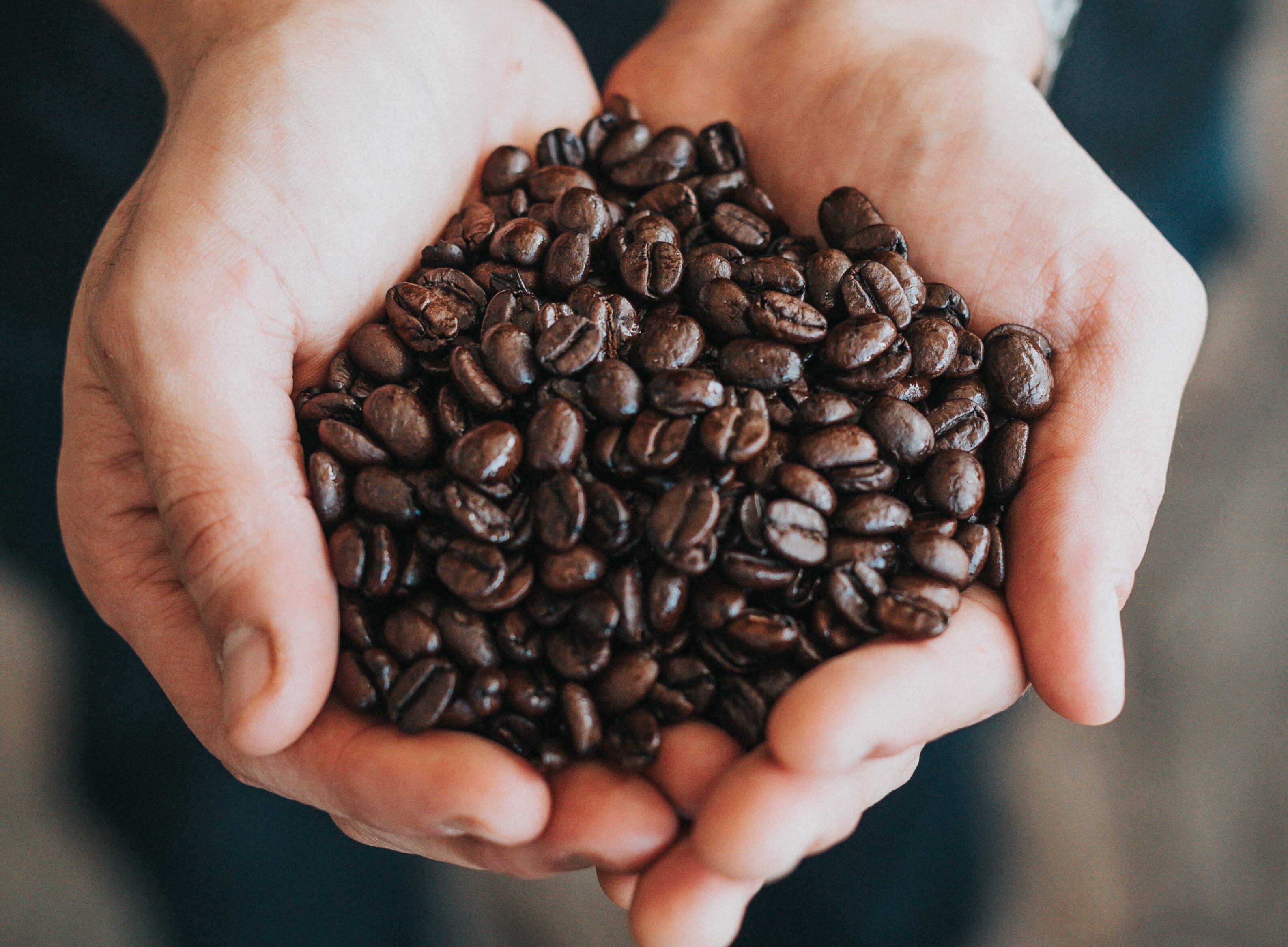 Contact - Inca Coffee Roasters